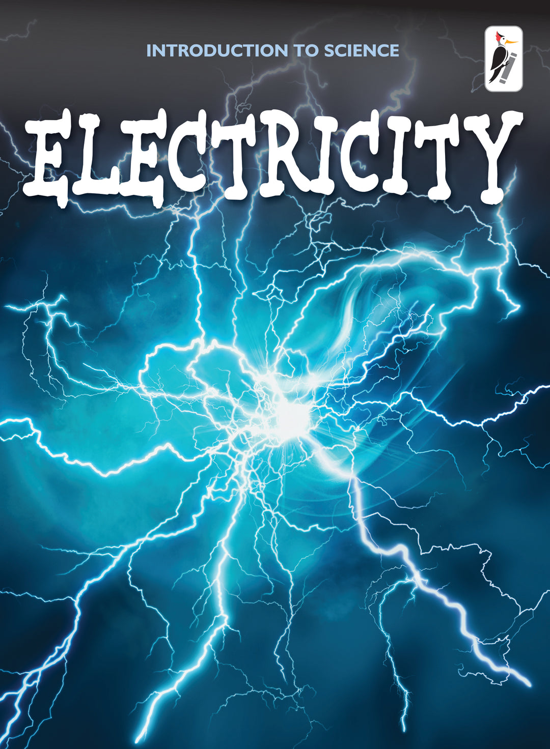 Electricity – Woodpecker Books