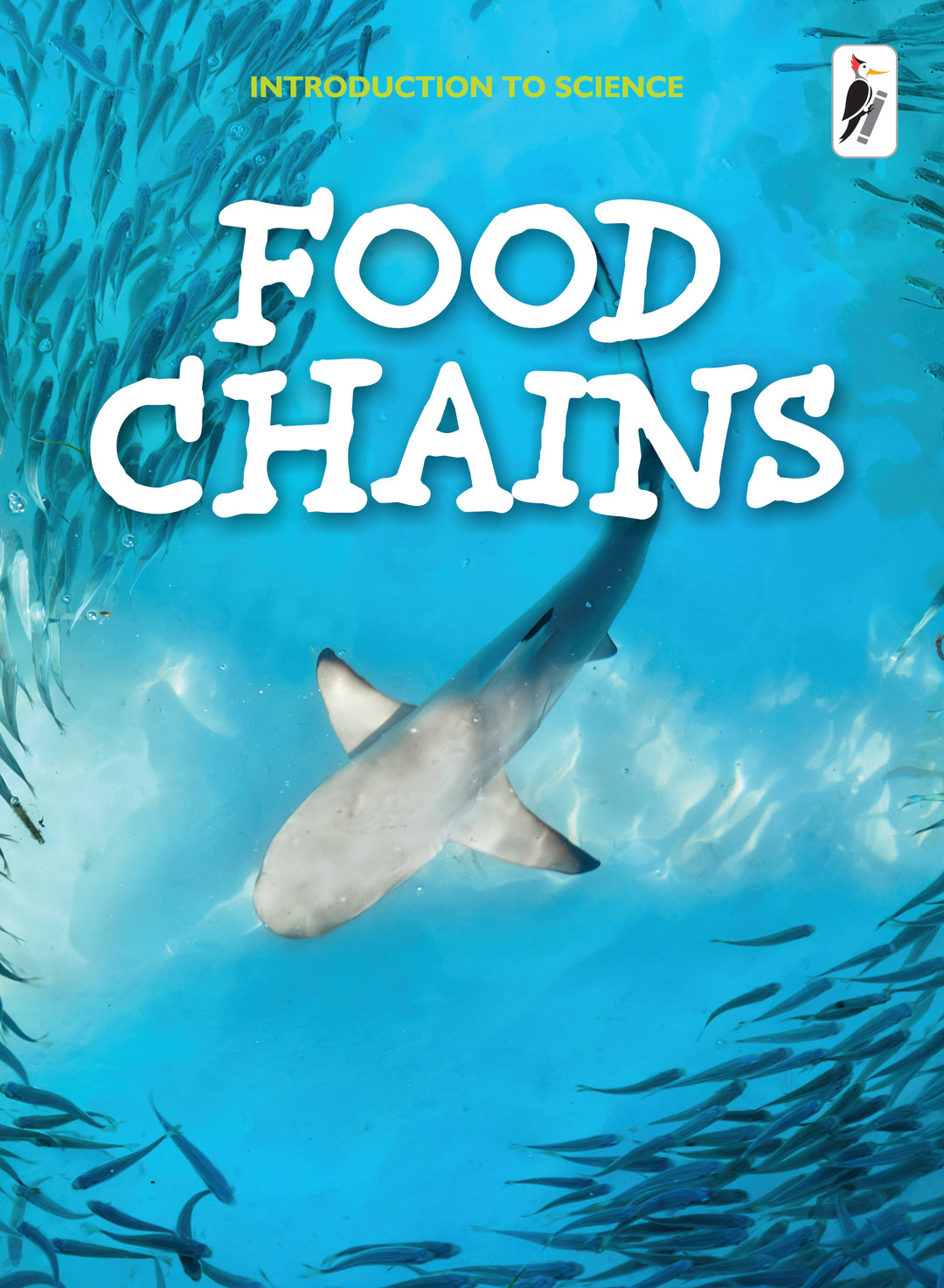 Food Chains – Woodpecker Books