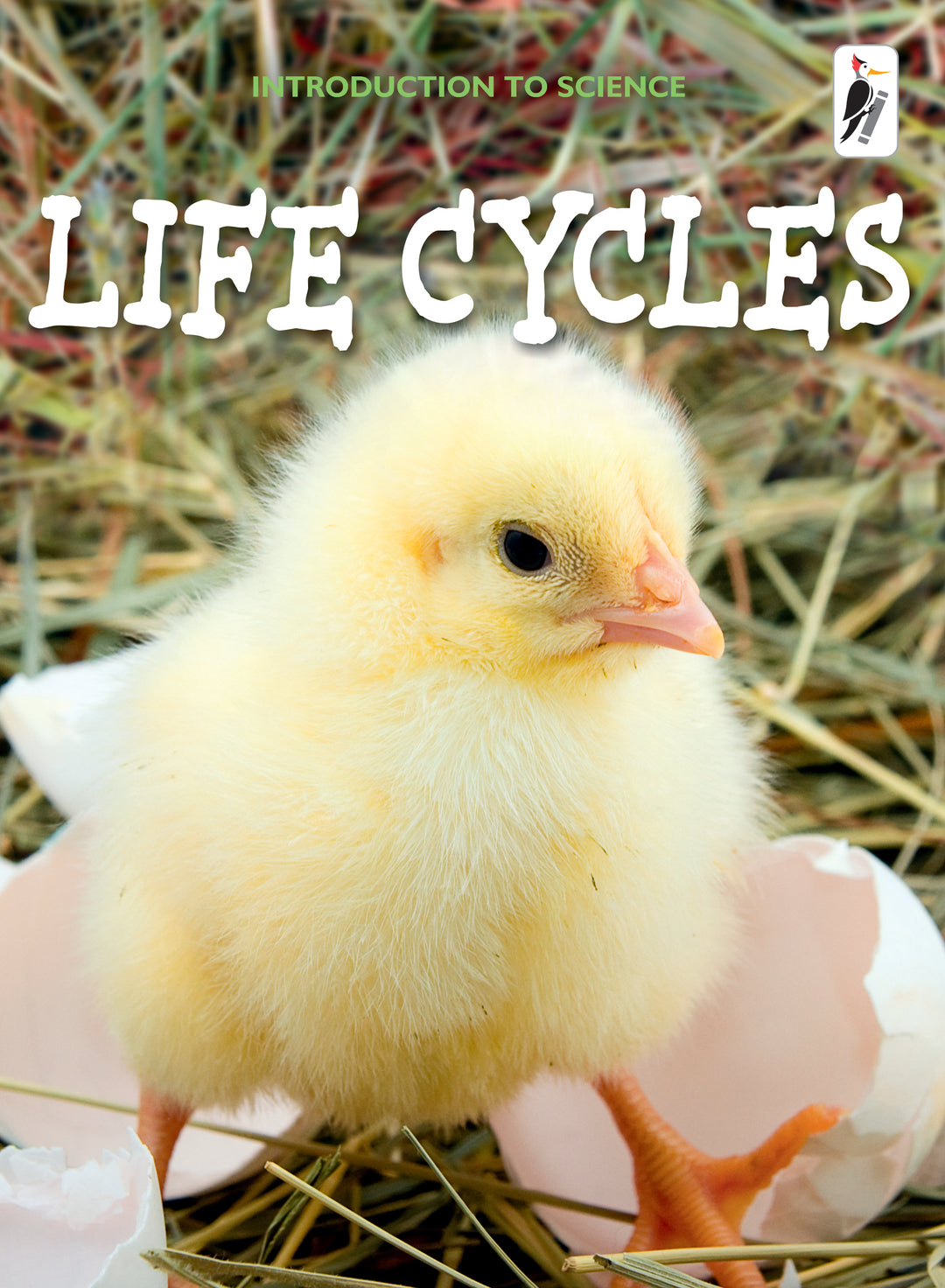 Life Cycles – Woodpecker Books
