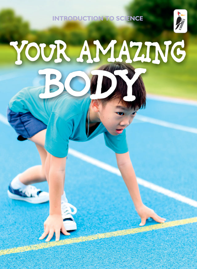 Your Amazing Body – Woodpecker Books